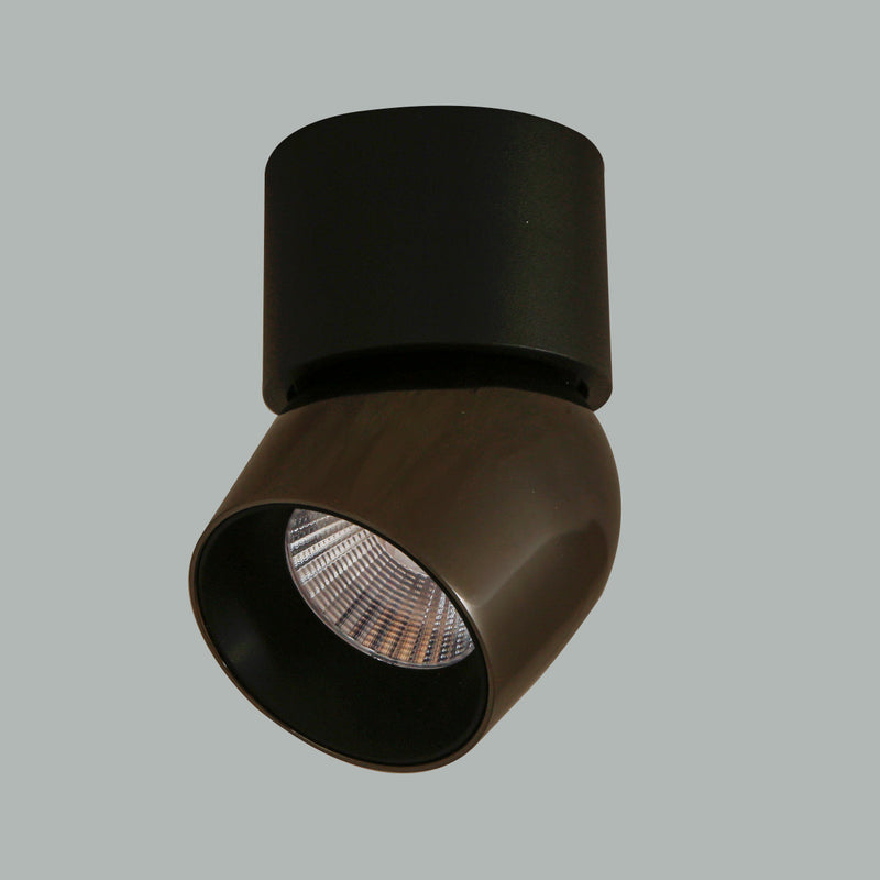 Isha Tiltable Black LED Spot Light for Ceiling Spots | Light & Living