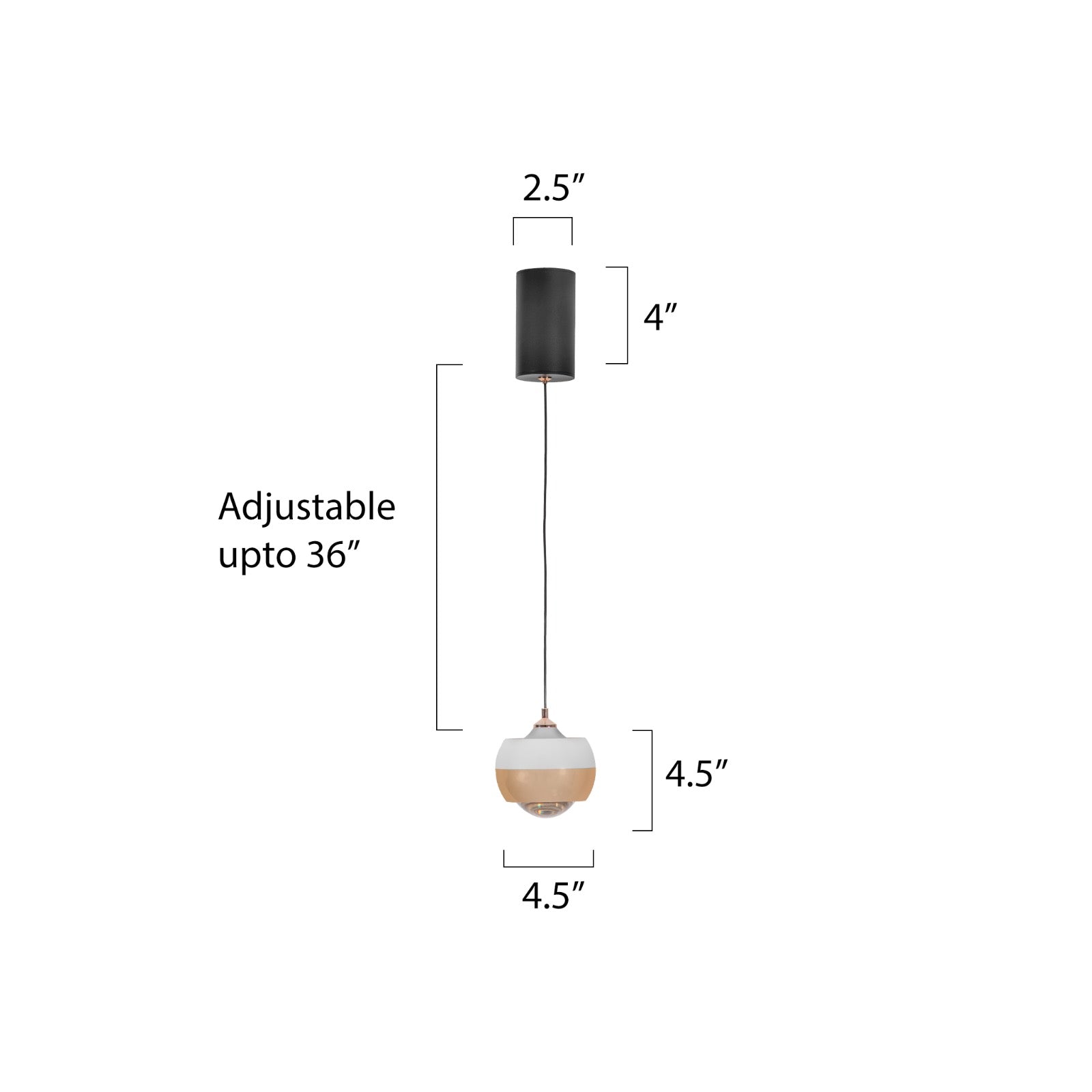 Ocean White Gold LED Pendant Light for Modern Homes | Light & Living