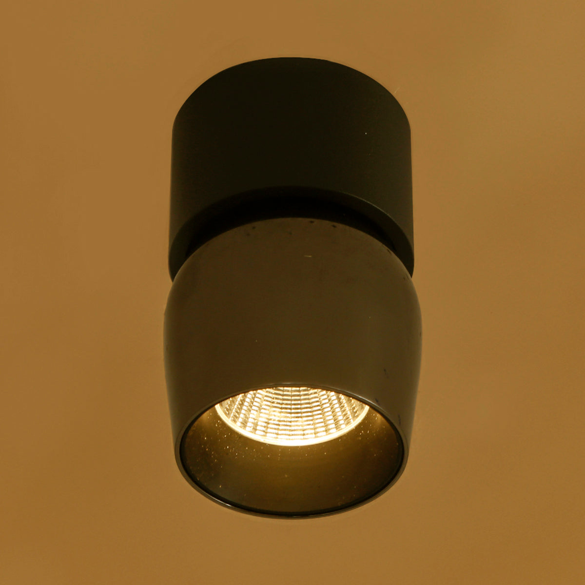 Isha Tiltable Black LED Spot Light for Ceiling Spots | Light & Living