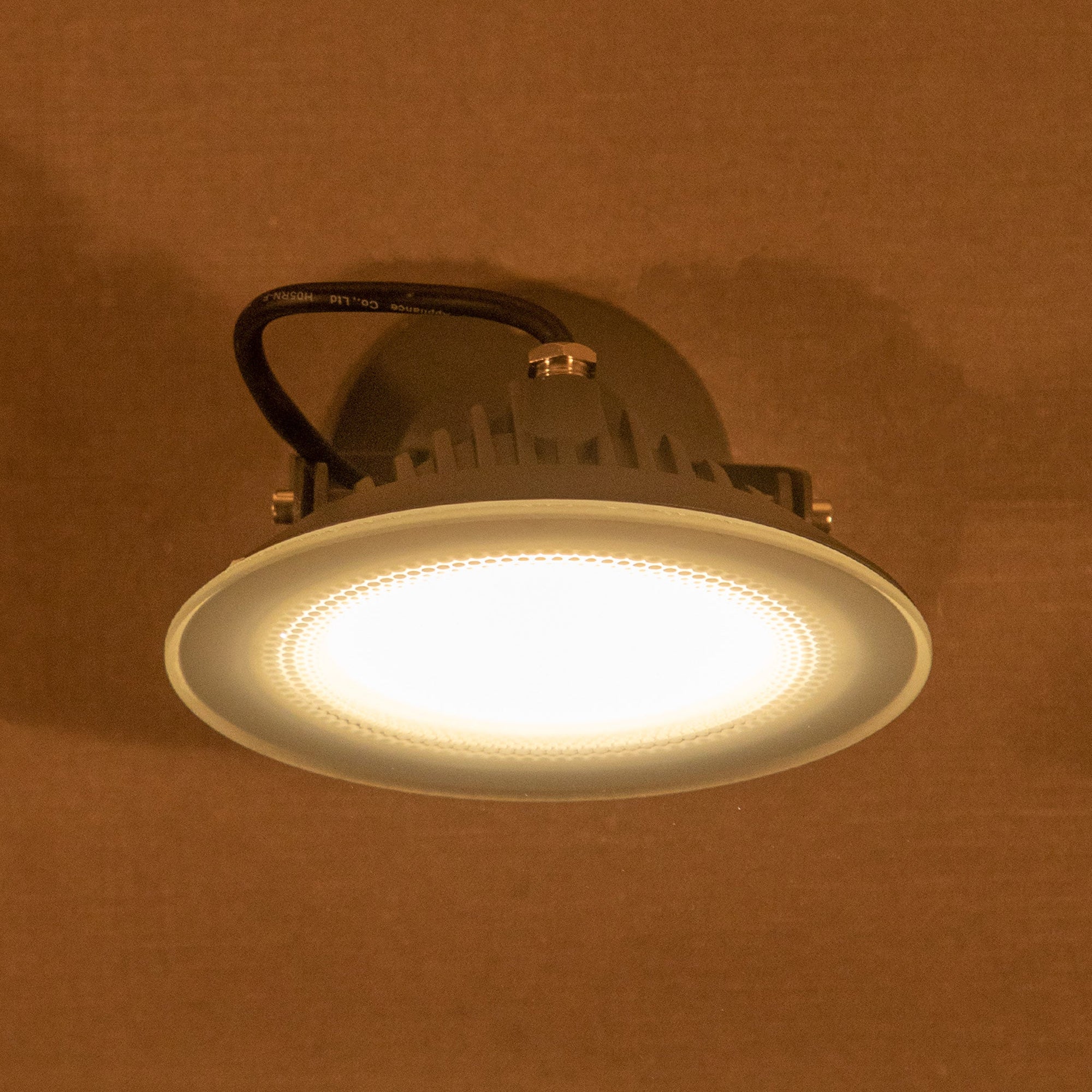 Focus Me Outdoor LED Wall Light for Bright Exteriors | Light & Living