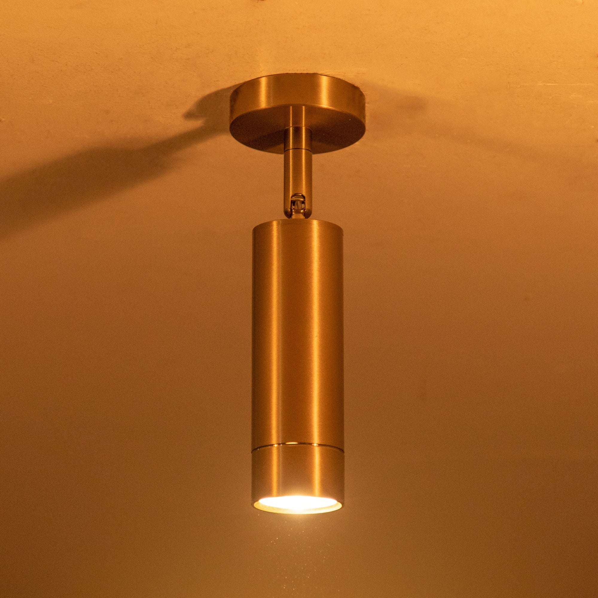 Germany Brass Adjustable LED Spot Light | Light & Living