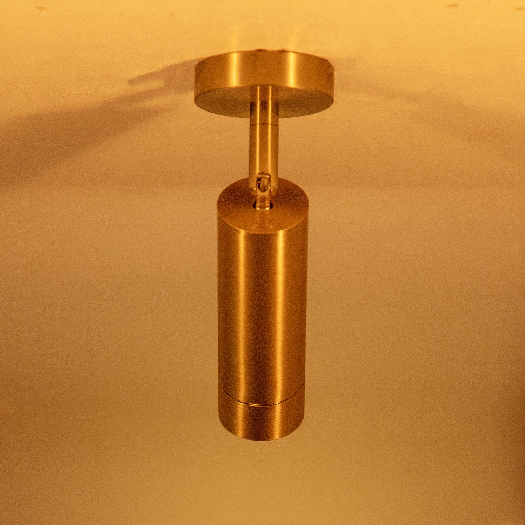 Germany Brass Adjustable LED Spot Light | Light & Living