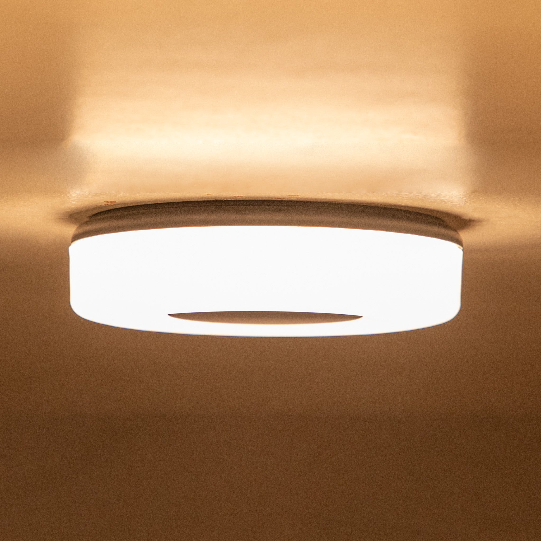 Exterior Ceiling Mounted Led Lights | Shelly Lighting