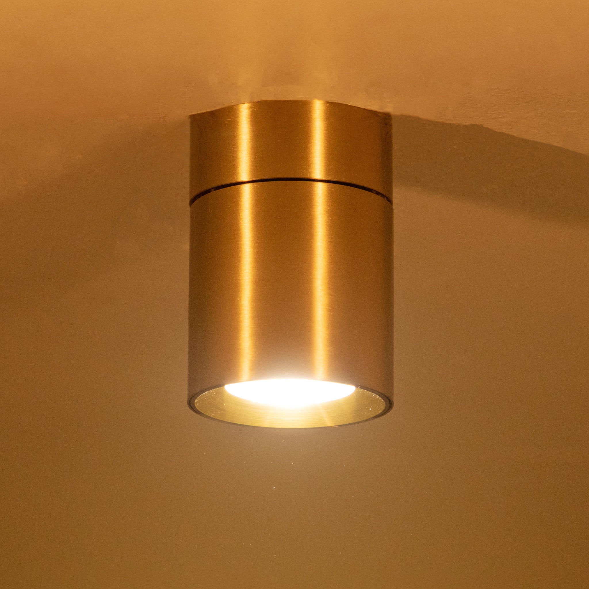Veyron Brass Adjustable LED Spot Light | Light & Living
