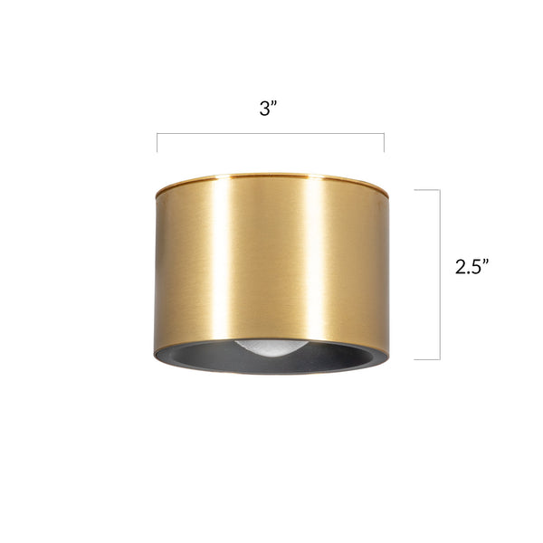 Alpen Brass LED Surface Light | Light & Living