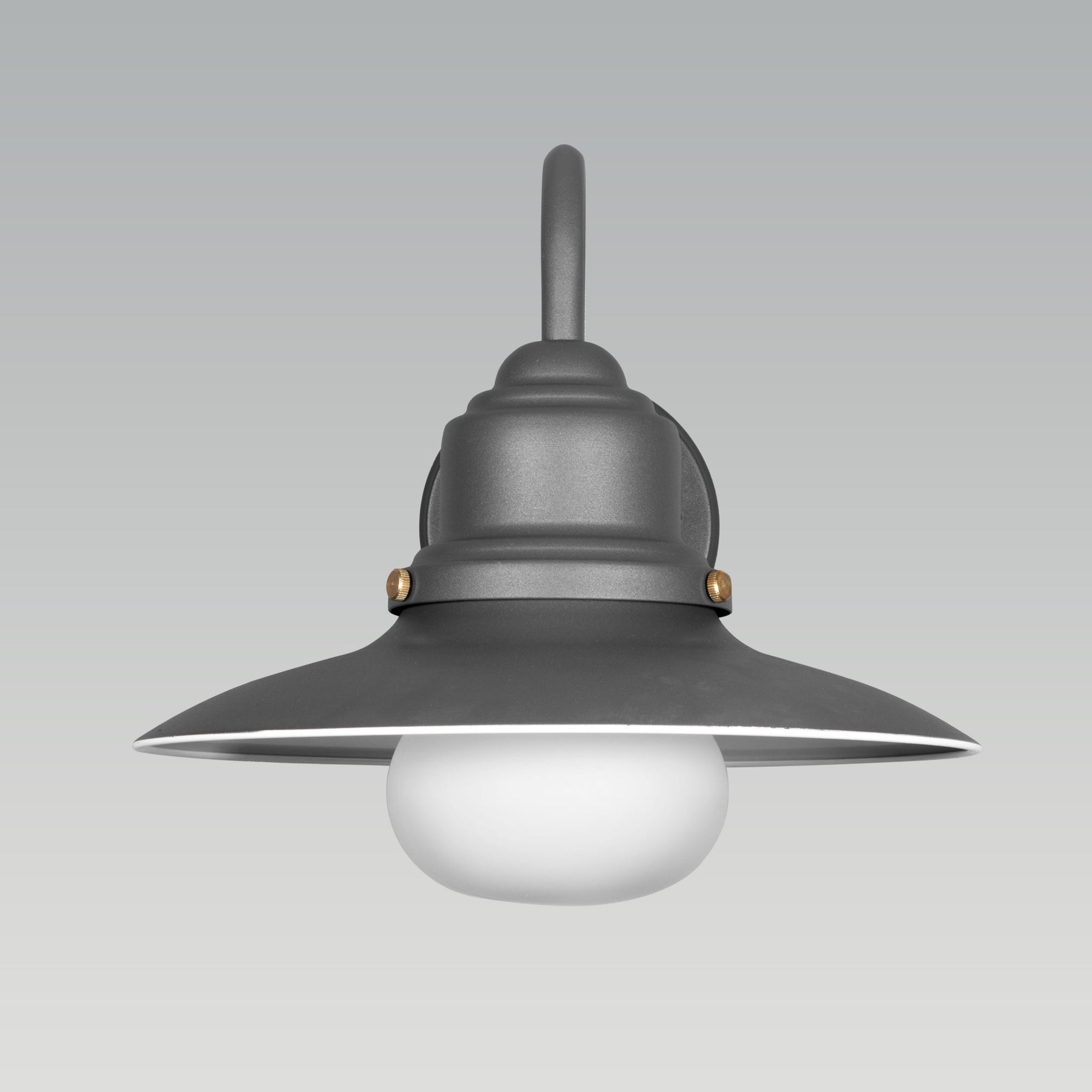 Old School Outdoor LED Wall Light for Exteriors | Light & Living