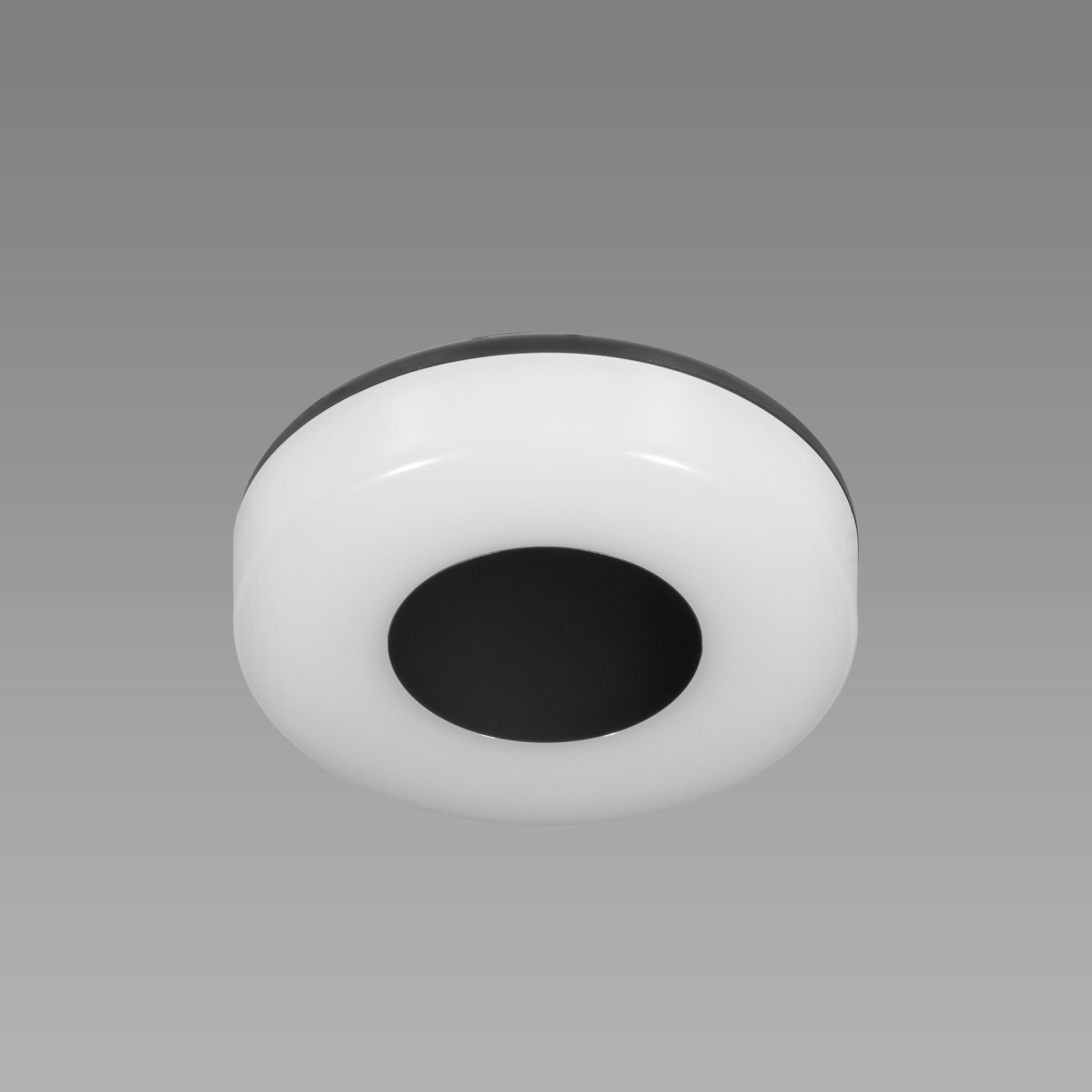 Outdoor Ceiling Lights