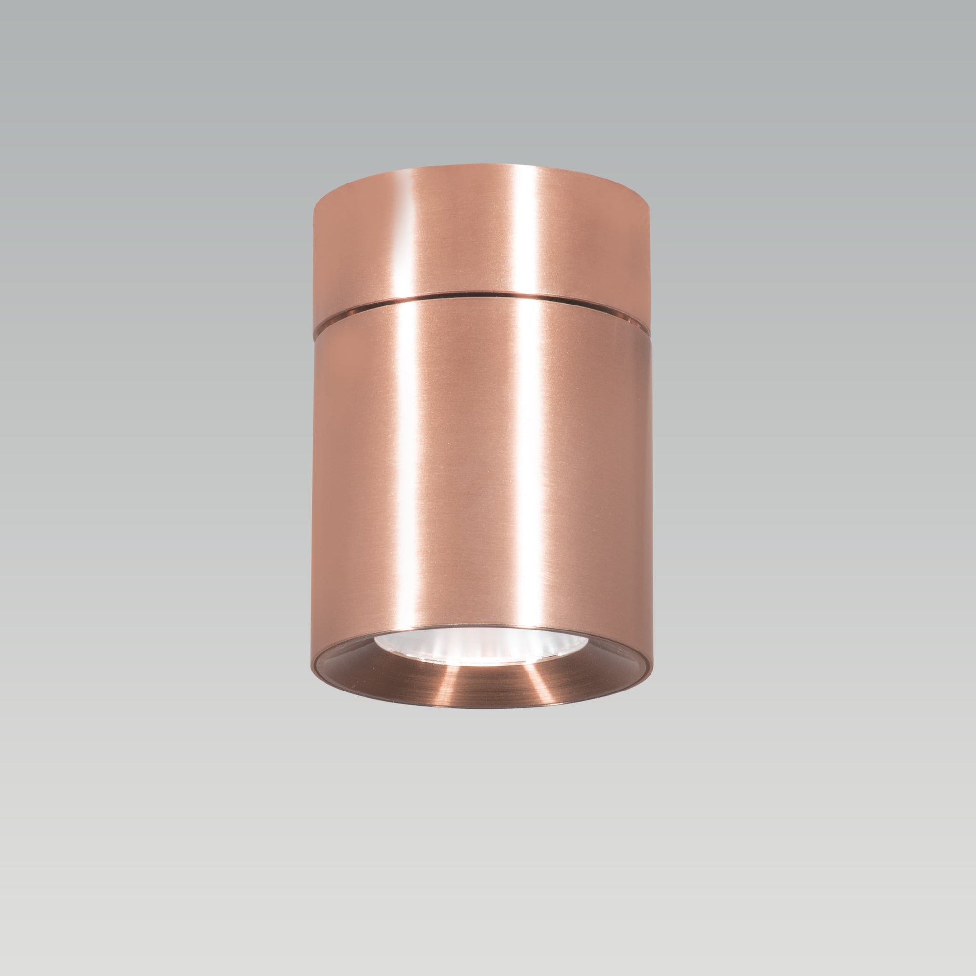 Veyron Copper Adjustable LED Spot Light | Light & Living